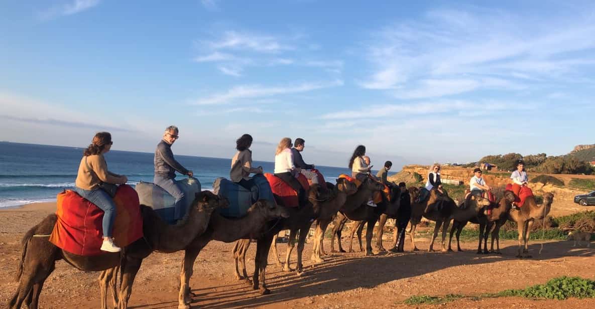 Desde Tarifa: Excursión de un día a Tánger con guía | GetYourGuide