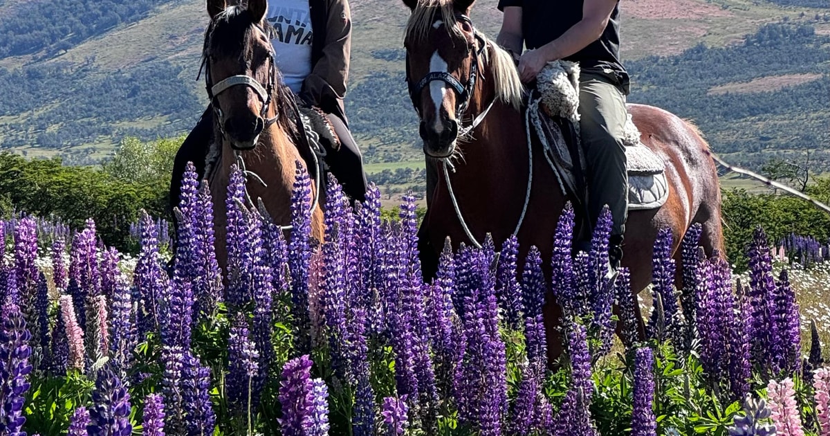Puerto Natales: Equitazione con Horse Connection | GetYourGuide