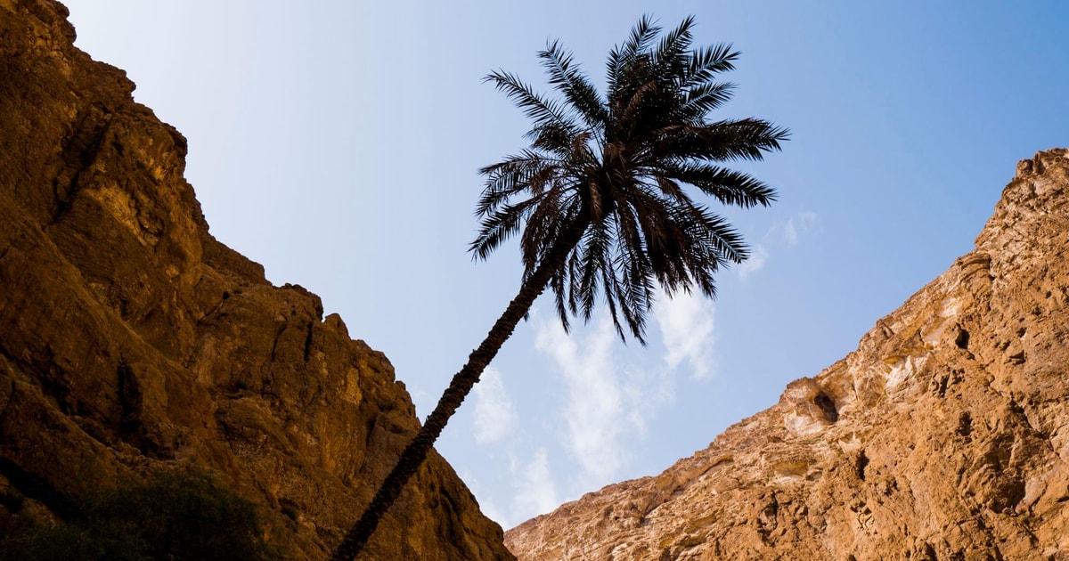Wadi Shab: Adventure Tour With Cave Swim & Waterfall Visit | GetYourGuide