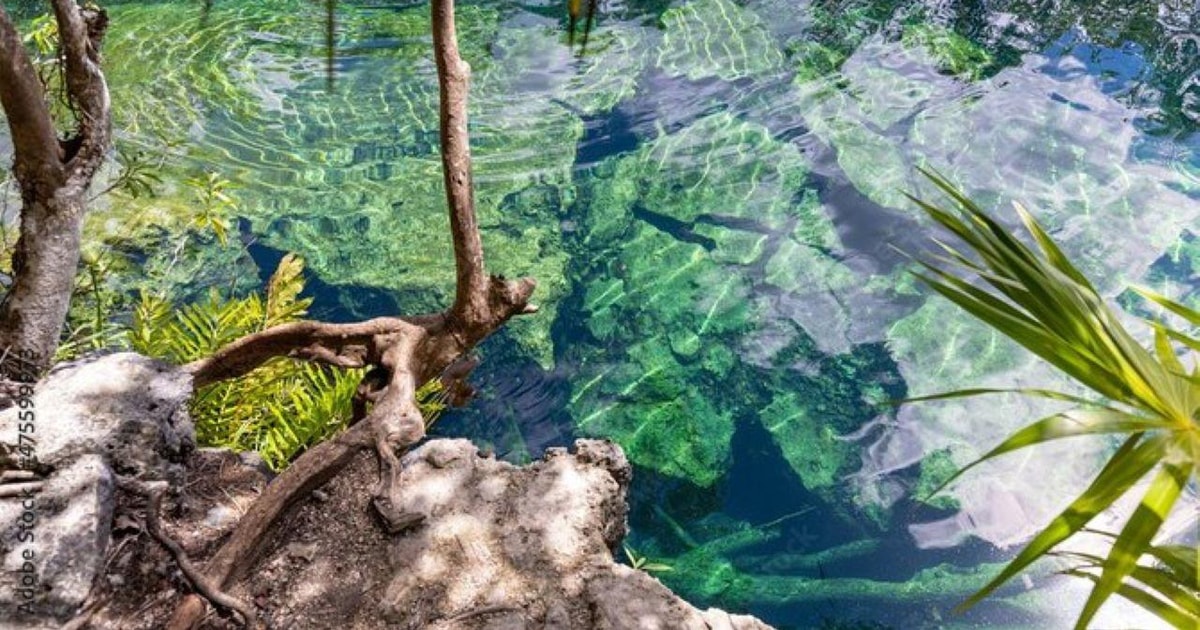 Tulum: Tour 4 Cenotes Casa Tortuga | GetYourGuide