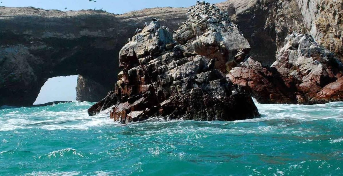 Lima to Ballestas Islands and Huacachina Tour | GetYourGuide
