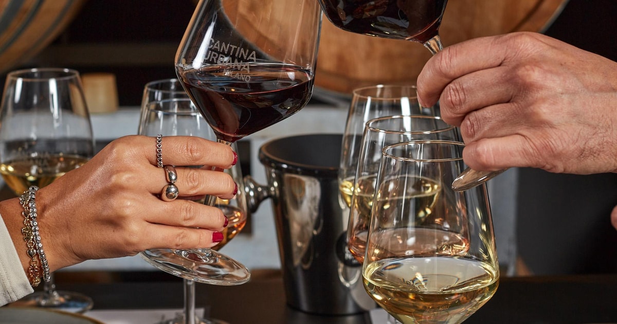 Milan: Wine Tasting + Lunch | GetYourGuide