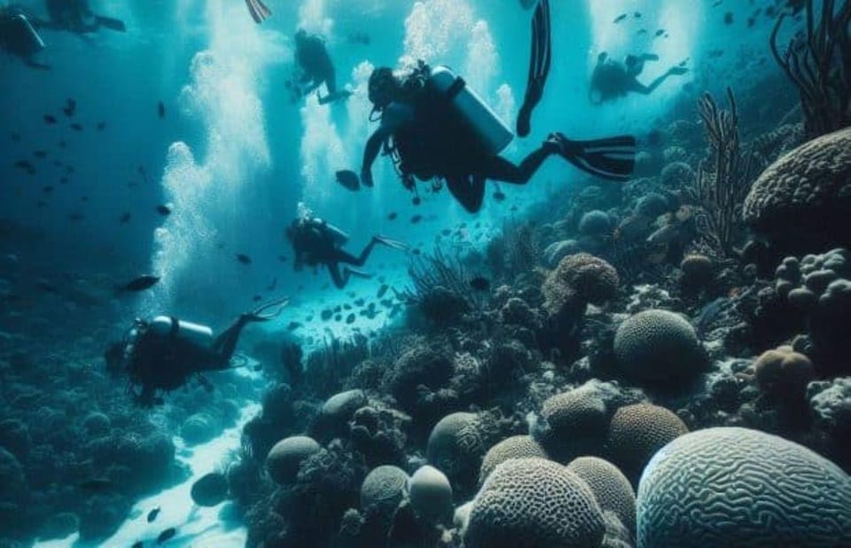 Playa Del Carmen Y Tulum Especialidad En Cavernas Padi Getyourguide