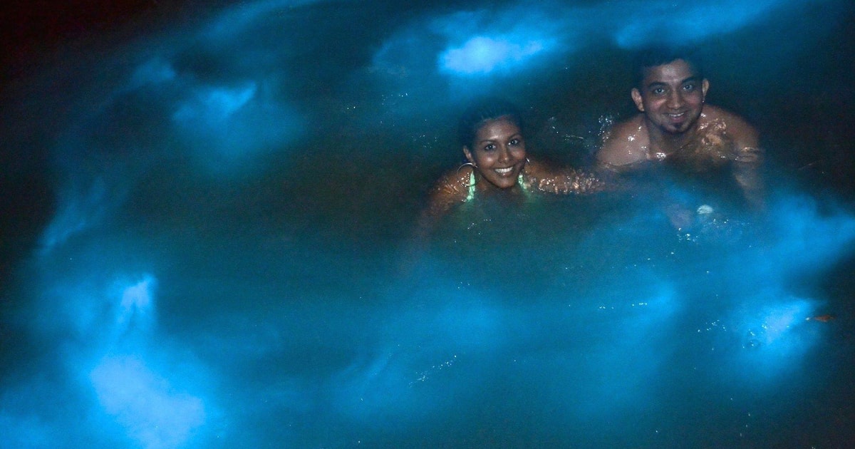 Luminous Lagoon and Rose Hall Great House Haunted Night Tour | GetYourGuide