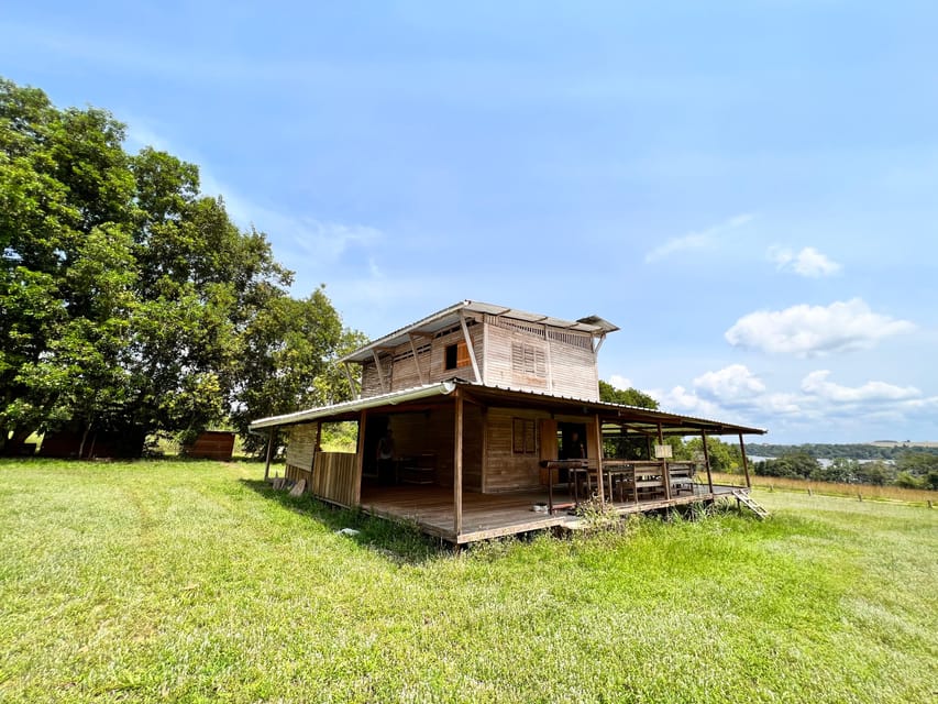 Chimpanzees Trip : wildlife in Conkouati Douli National park | GetYourGuide