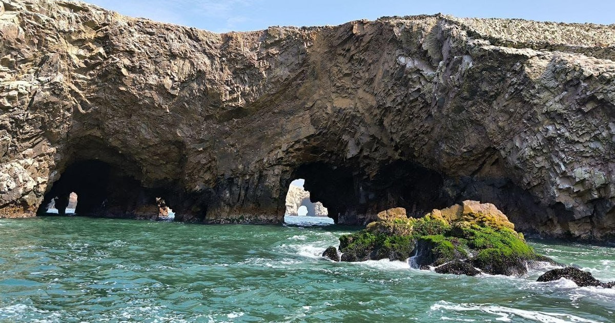 TOUR DELLE ISOLE BALLESTAS | GetYourGuide