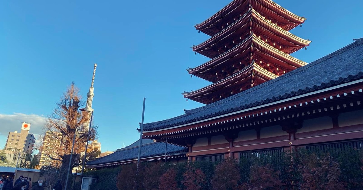 Aanpasbare tour: Binnen Tokio en haar attracties | GetYourGuide