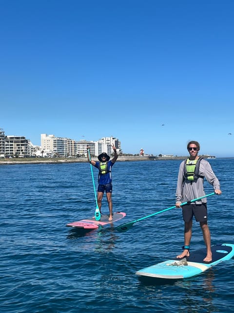 SUP Ocean Tour | GetYourGuide