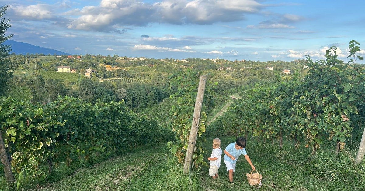 Prosecco: festa del vino e del cibo nell'osteria di famiglia | GetYourGuide