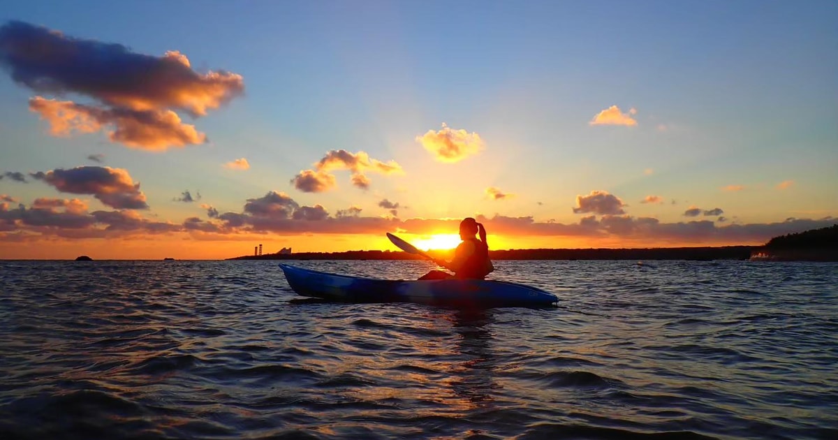 Ishigaki: Amazing Sunrise Canoe Tour at the Mangrove River | GetYourGuide