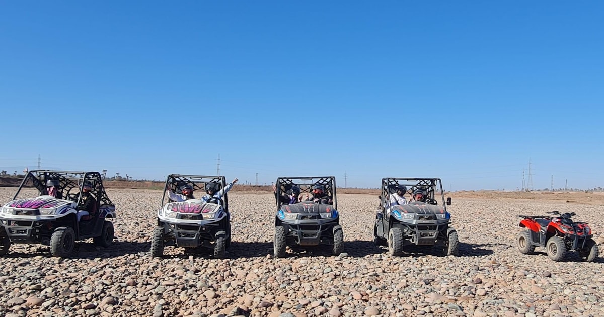 Buggy rijden bij de Palm Grove en Desert met zwembad | GetYourGuide