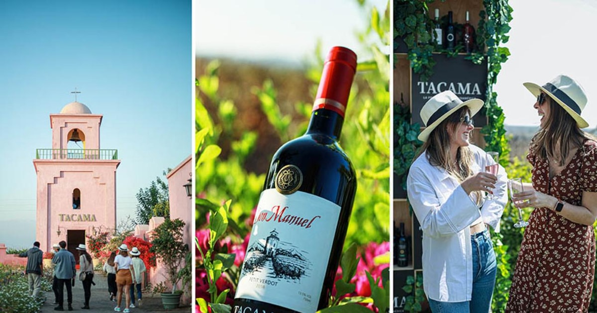 Pisco route | tasting | experience in the desert | GetYourGuide