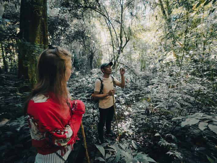 Munduk: Rainforest Hiking, Canoeing And Waterfall Tour | GetYourGuide