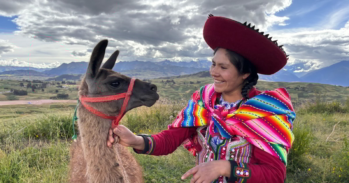 AB CUSCO: Tour durch das Heilige Tal und Alpaka-Wanderung | GetYourGuide