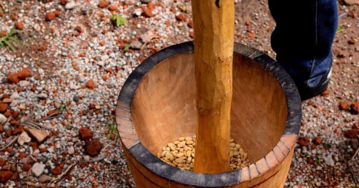 Arusha: Coffee Plantation Tour with Tasting and Hands-On … | GetYourGuide