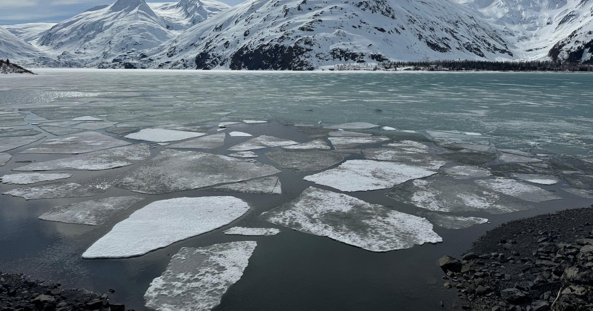 Anchorage: Turnagain Arm Scenic Winter Tour med en guide | GetYourGuide