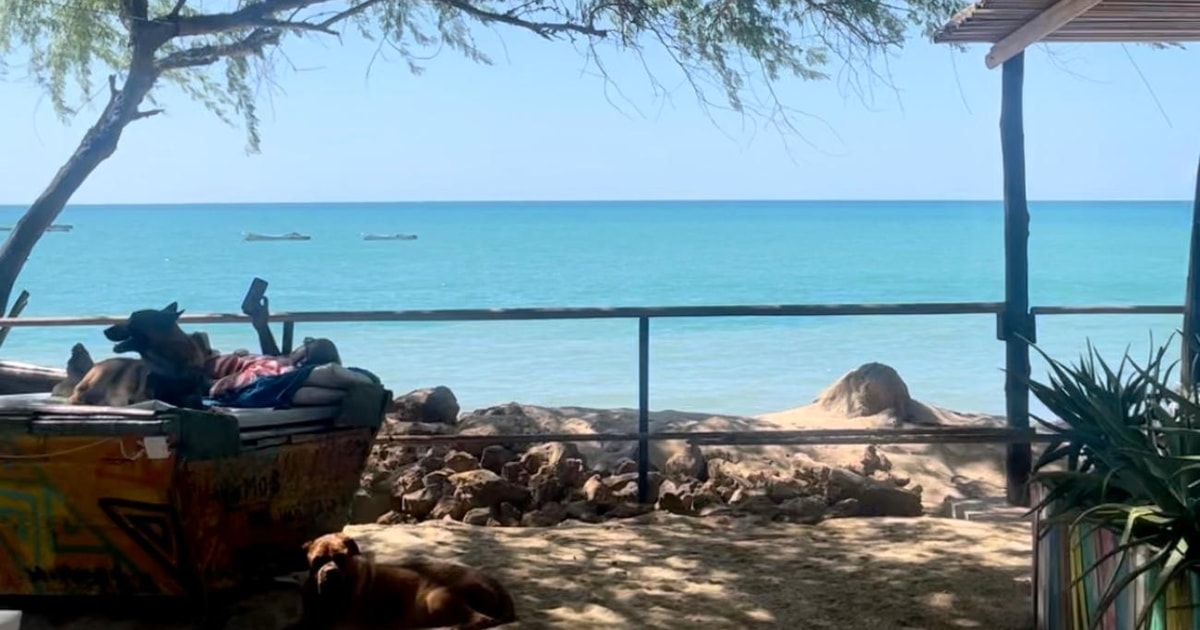 Stranddag ved Cabo Ledo | Et tropisk paradis | GetYourGuide