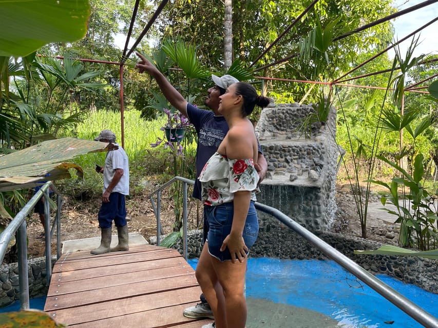 Cahuita Nationalpark & Maratopia tropischer Garten | GetYourGuide