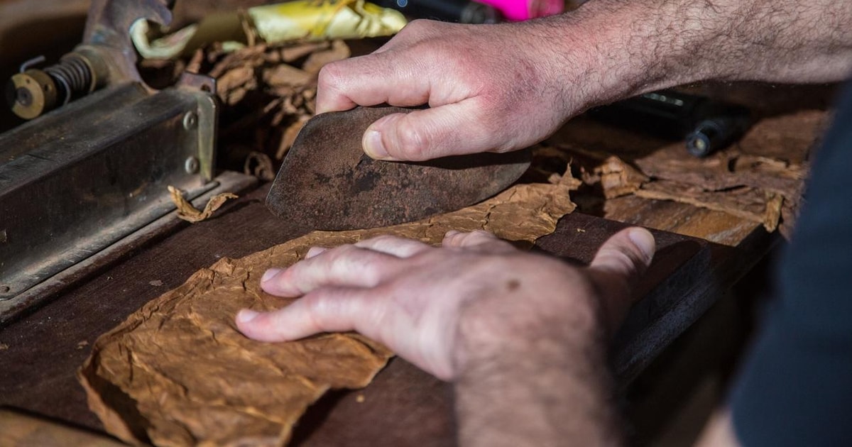 Cancún : expérience de roulage de cigares avec rhum et chocolat ...