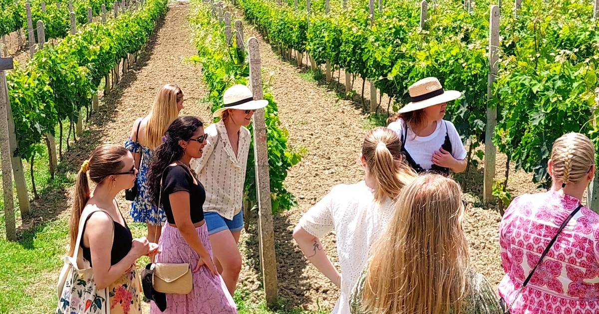 Durres Countryside Wine Tour with Food Tasting | GetYourGuide