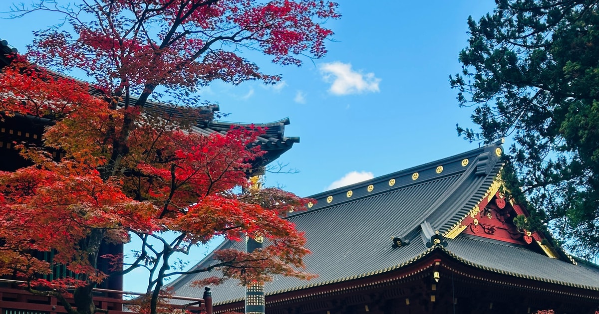 Vanuit Tokio: Nikko Tour met Toshogu schrijn en Kegon watervallen ...