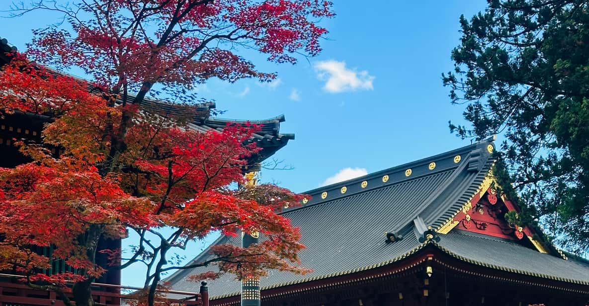 Von Tokio aus: Nikko Tour mit Toshogu-Schrein und Kegon-Wasserfall ...