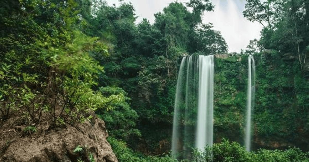 Chiapas: Blue Water - Misol-Ha Palenque Adventure | GetYourGuide
