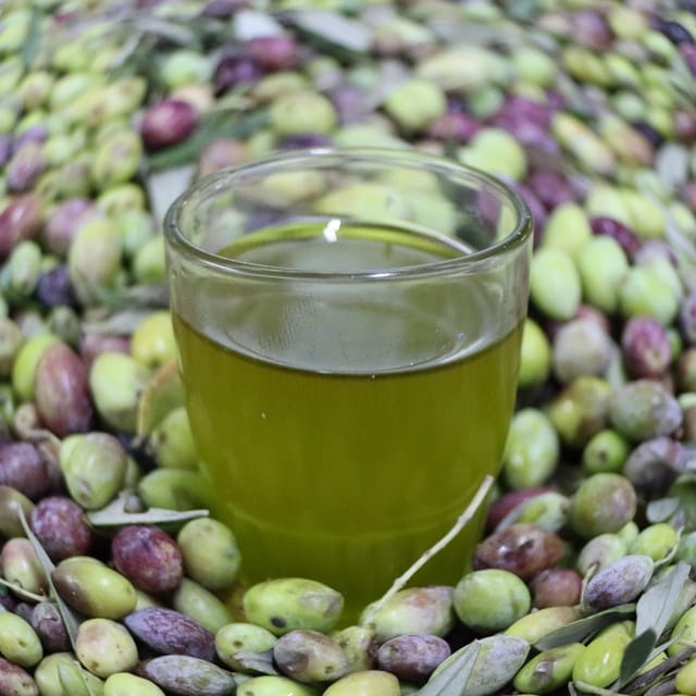 Cyprus :Olive oil Tasting & Olive mill | GetYourGuide