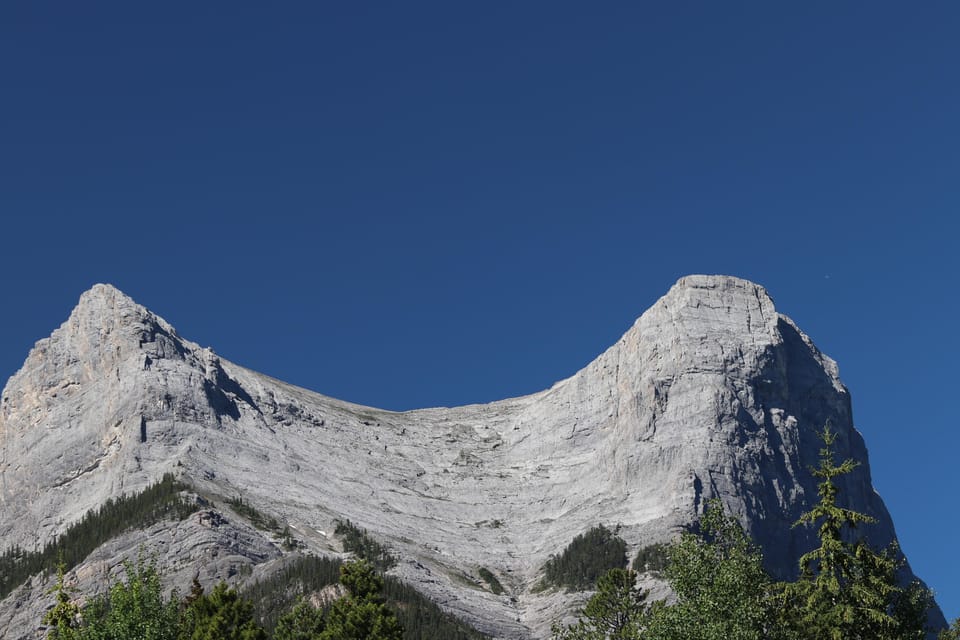 Canmore: Bow River - Scenic Float Tour | GetYourGuide