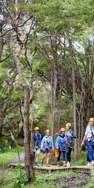 Kaikōura: Zipline and Native Forest Adventure Trip | GetYourGuide
