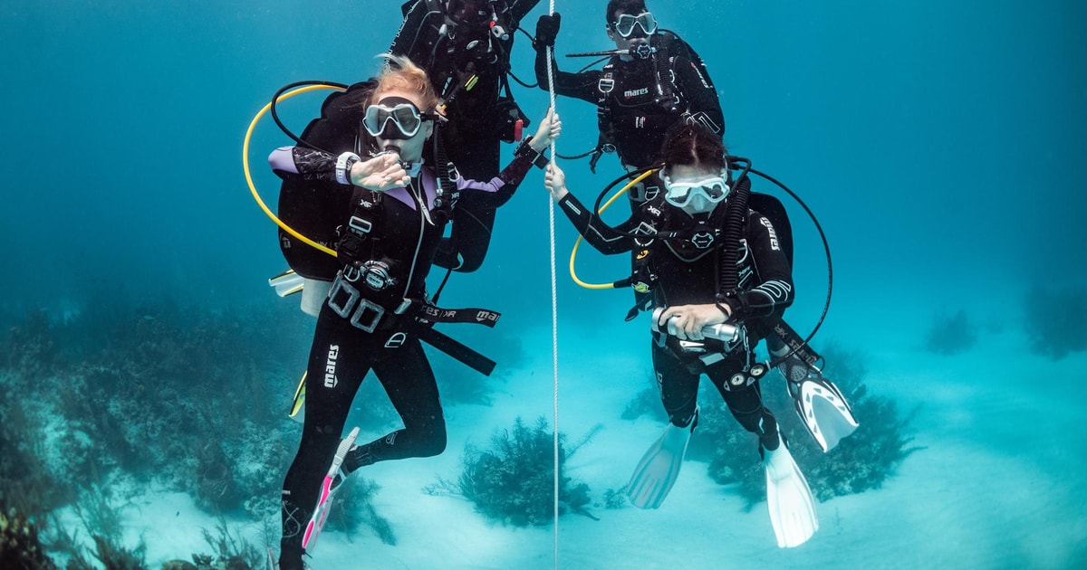 Vrsar: Start your diving experience – internationally recognized diving license | GetYourGuide