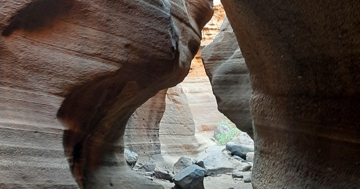 Barranco de las Vacas, Cuevas y Caserío por 2 guías nativos | GetYourGuide