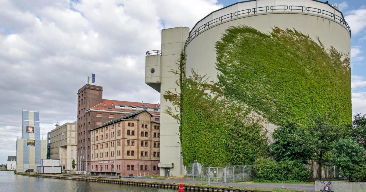 Munster: Insta-Perfect Walk with a Local | GetYourGuide