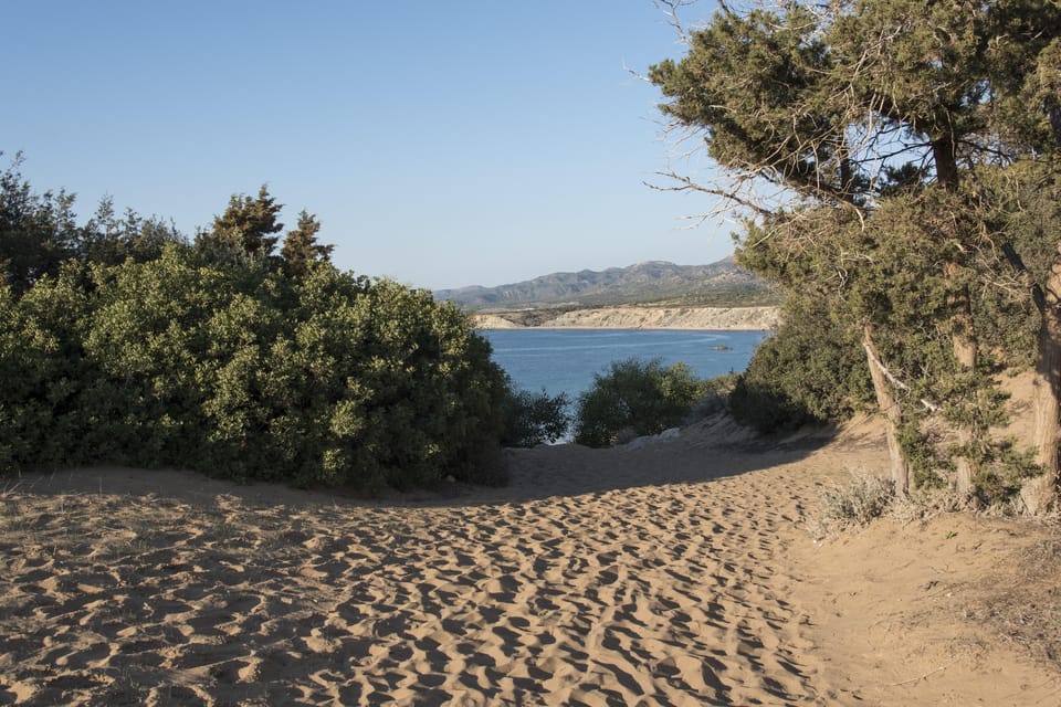 Akamas Jeep Safari Half Day from Paphos | GetYourGuide