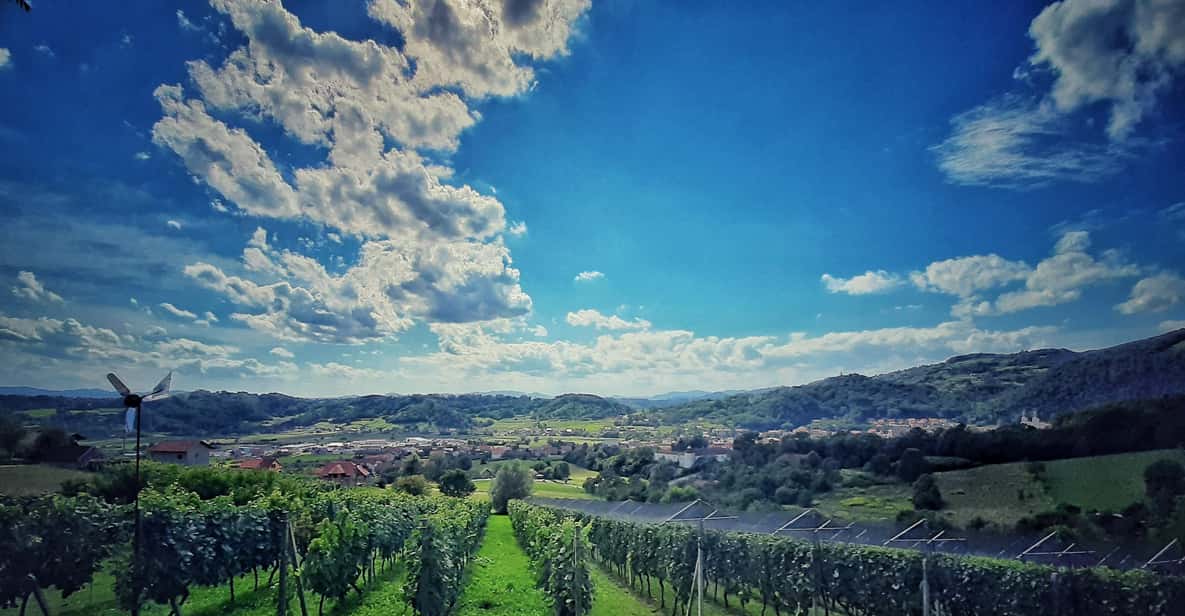 From Zagreb: Samobor & Plesivica Wine Road, Private | GetYourGuide