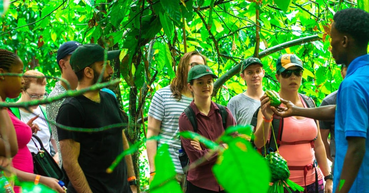 Zanzibar: Spice Farm & Stone Town City Tour with a Guide | GetYourGuide