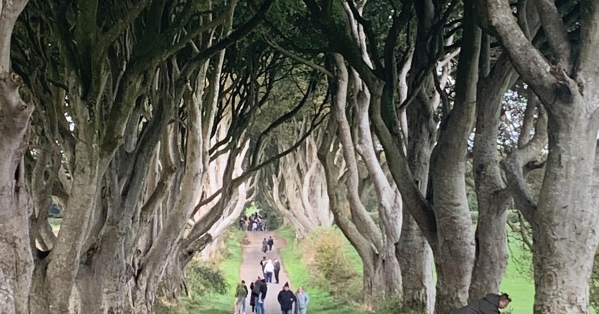 Belfast : Game Of Thrones and Giant’s Causeway private tour | GetYourGuide