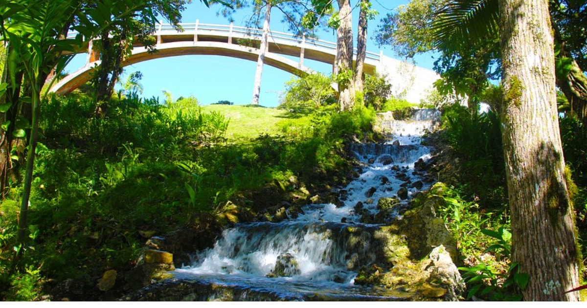 Puerto Plata: Cable Car and Isabel de Torres National Park Tour ...