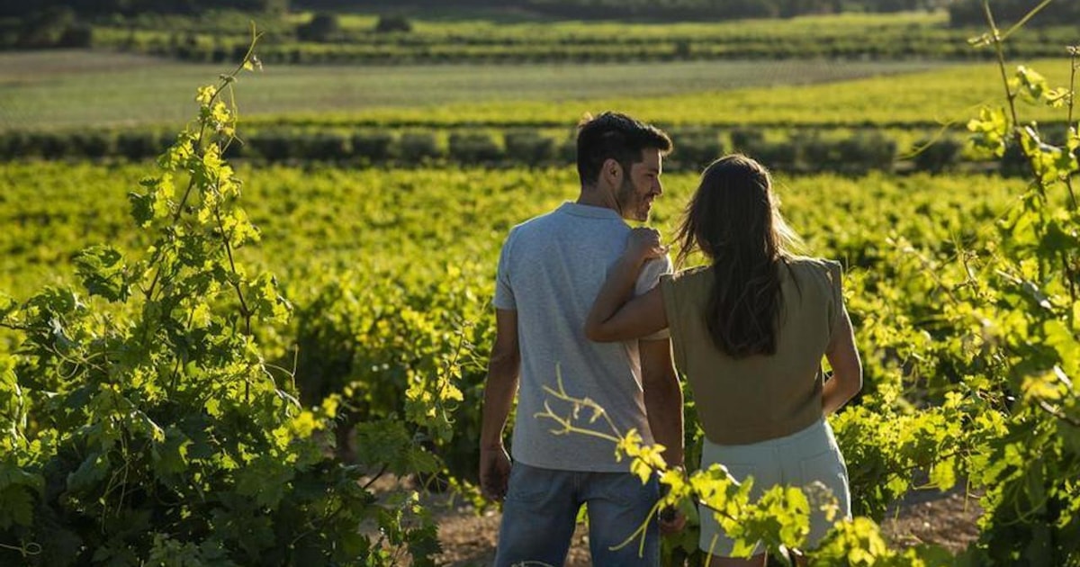 Valencia: Vineyard Tour, Local Wine Tasting and Appetizer | GetYourGuide