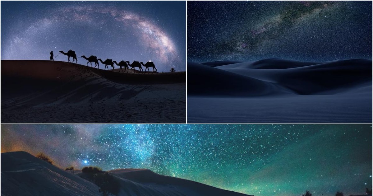 Doha Night Desert Safari ,Dune Bashing and Camel Ride | GetYourGuide