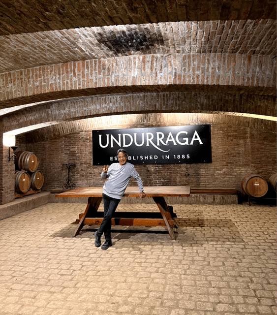 Santiago: Undurraga Winery Tour med indgang og vinsmagning | GetYourGuide