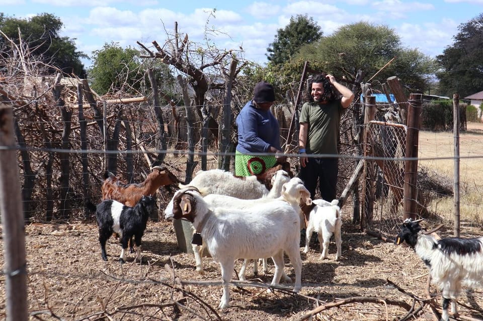 Visita de 3 h al pueblo de Manyana desde Gaborone + Pintura rupestre ...