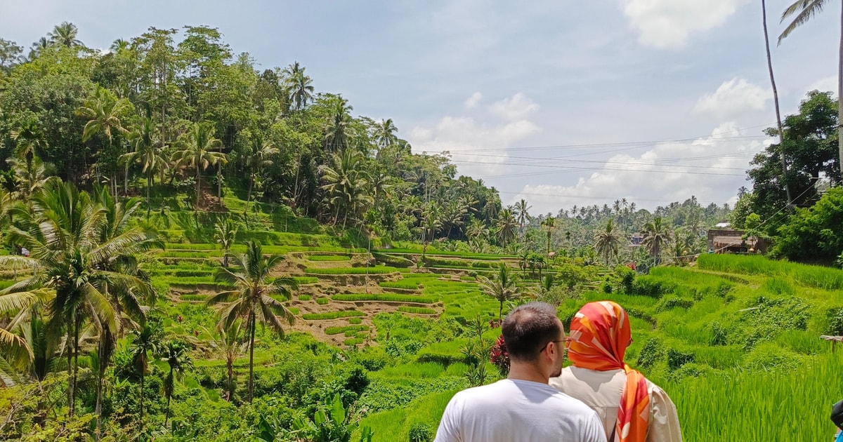 Ubud: Private Charter Car 10hours. | GetYourGuide