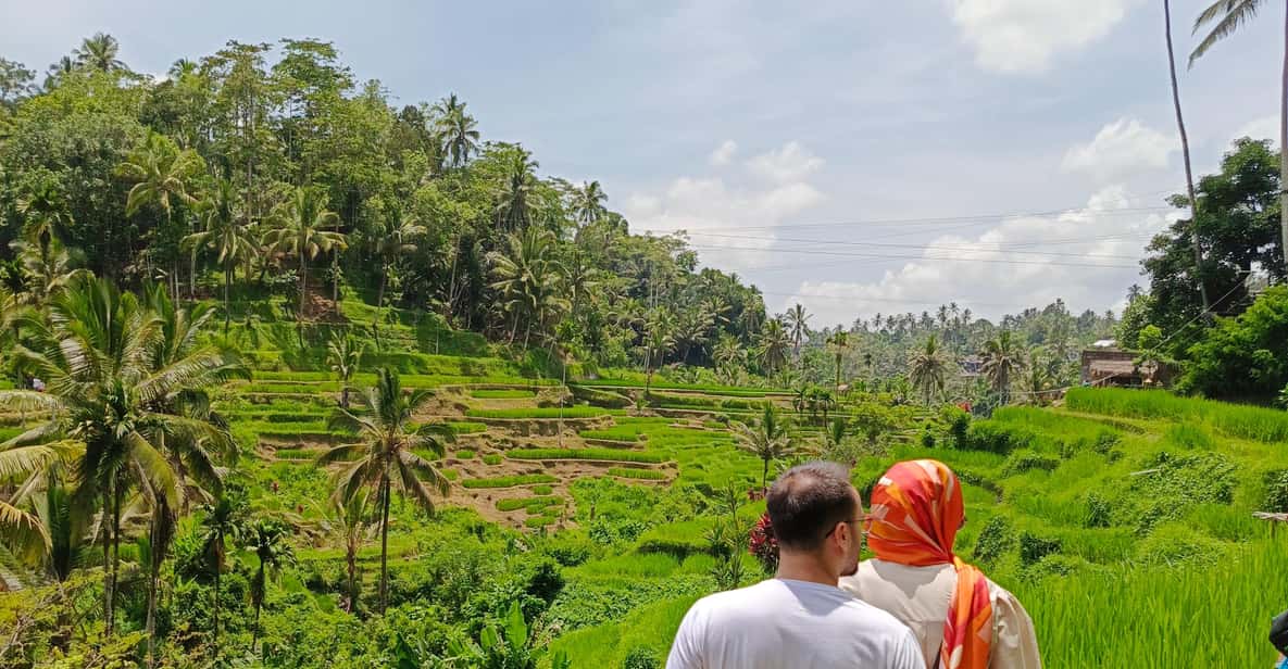 Ubud: Private Charter Car 10hours. | GetYourGuide