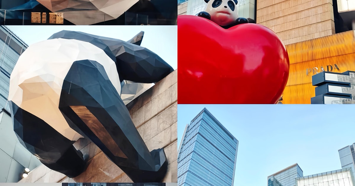 Chengdu: Local Culture Highlights One Day Private Tour | GetYourGuide