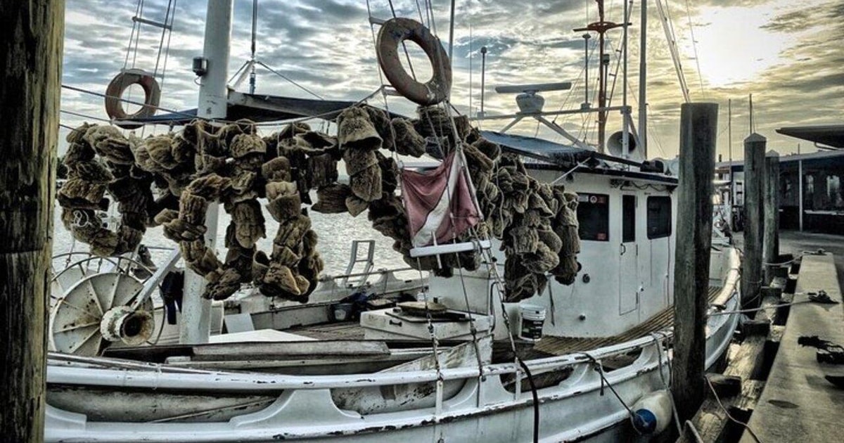 Tarpon Springs: Sponge Dock Stroll | GetYourGuide