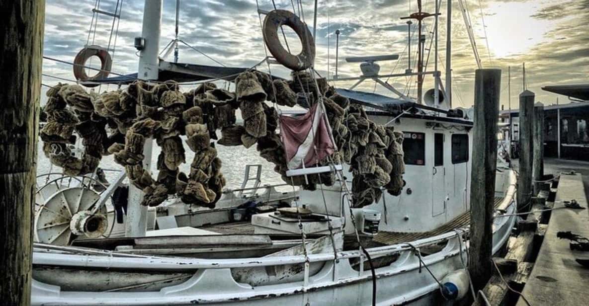 Tarpon Springs: Sponge Dock Stroll | GetYourGuide