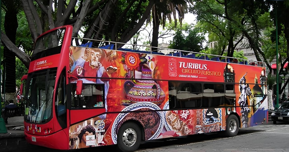 Ciudad de México: Centro Histórico, Coyoacán, Chapultepec Tour en ...