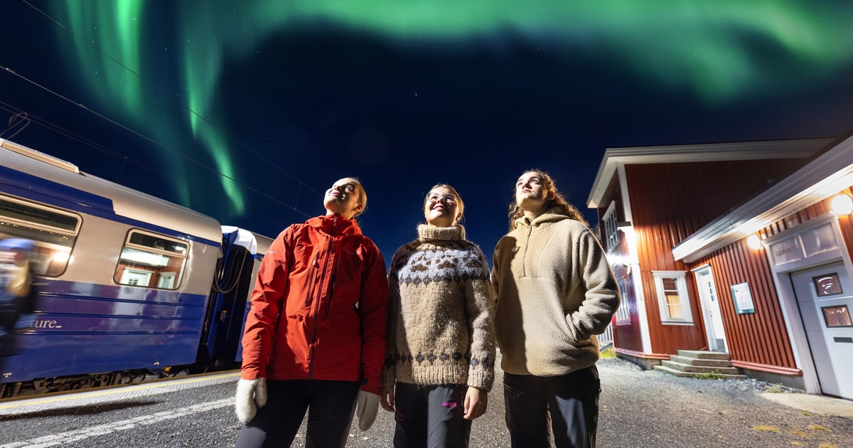 From Narvik: The Northern Lights Arctic Train Guided Tour | GetYourGuide