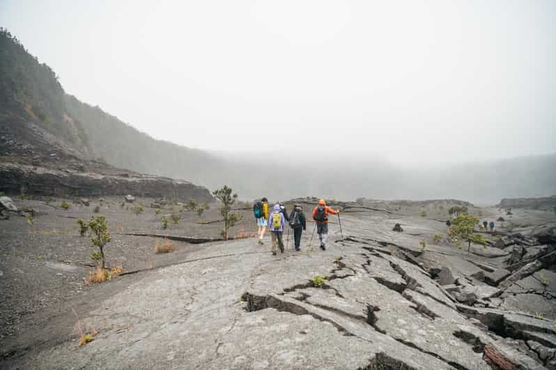 Big Island: Nature's Haven: Volcano Hike in National Park! | GetYourGuide